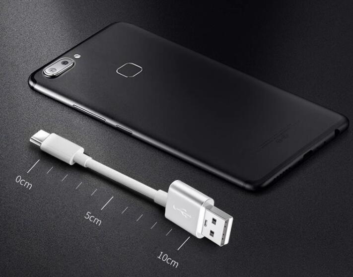 10CM Short USB C fast charging power bank cable